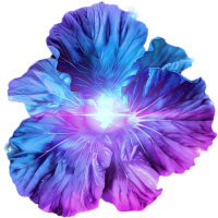 Author Jenny Grimes – Official Site